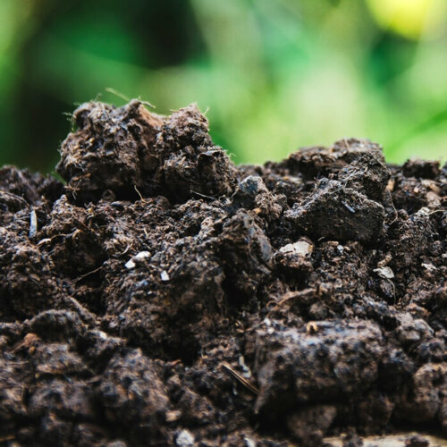 Company Overview – JK Sugar Mills